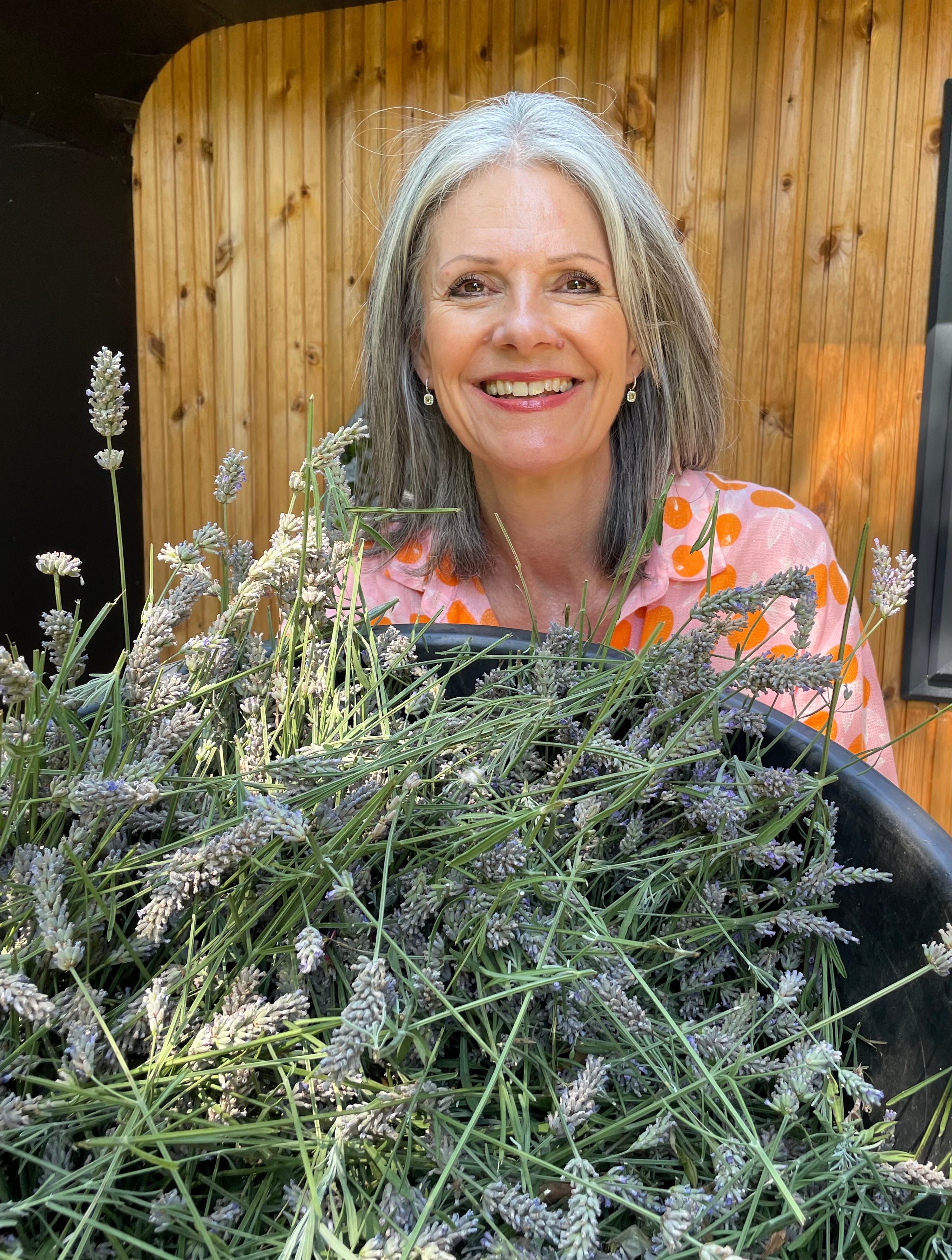 Lavender - Nature's Aromatic Elixir – Mandy Pitcher